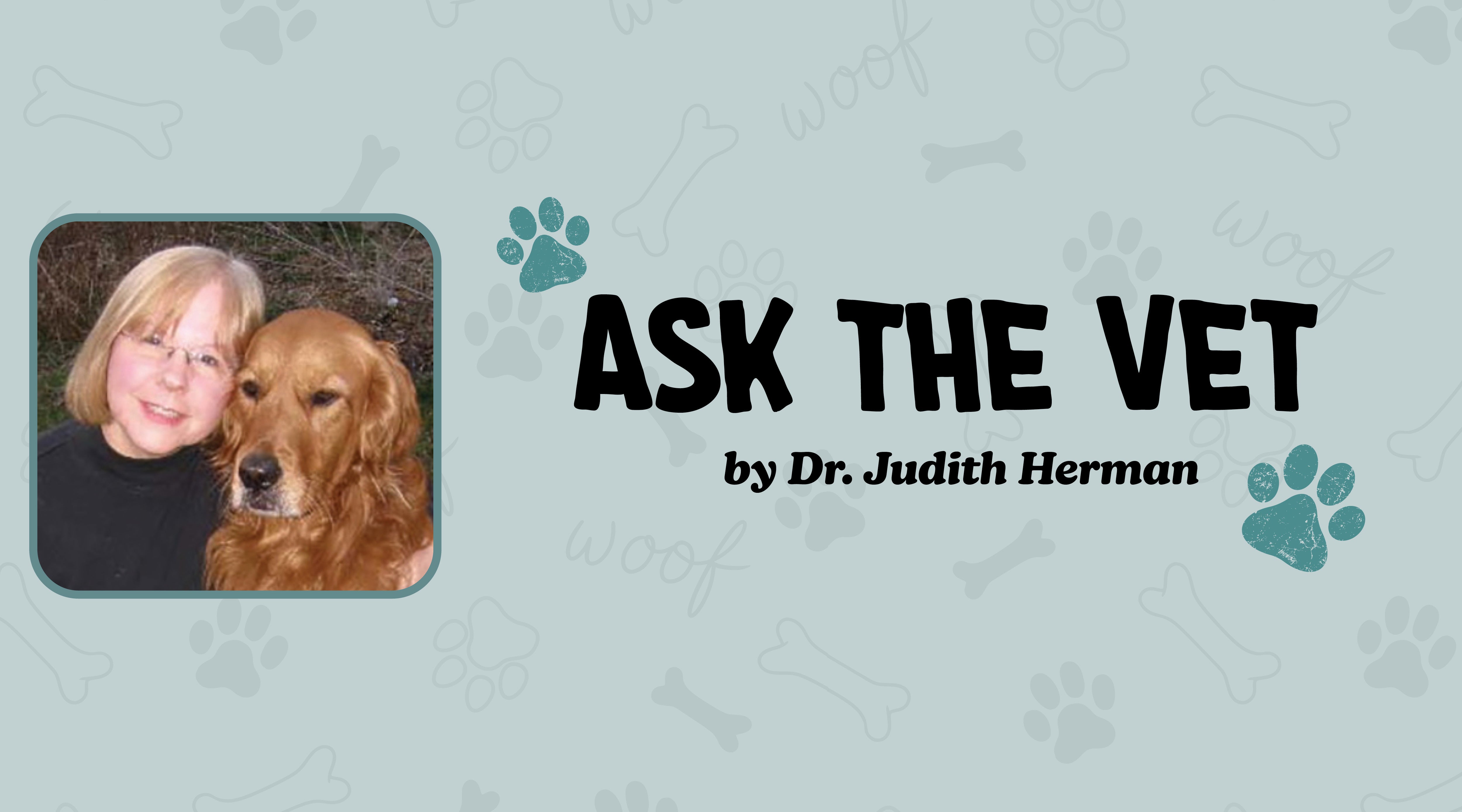 Parvo in the News – Downeast Dog News